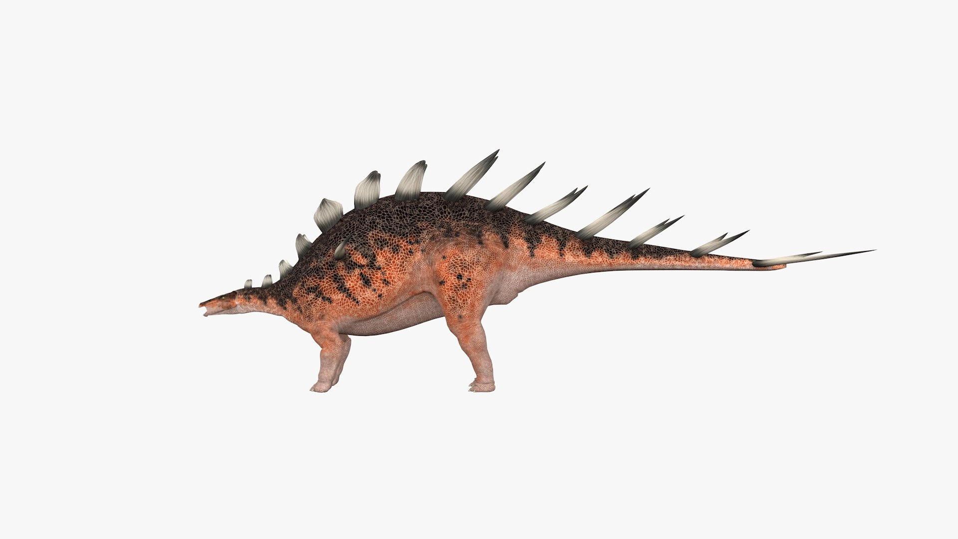 Kentrosaurus 3D Model - TurboSquid 1844323