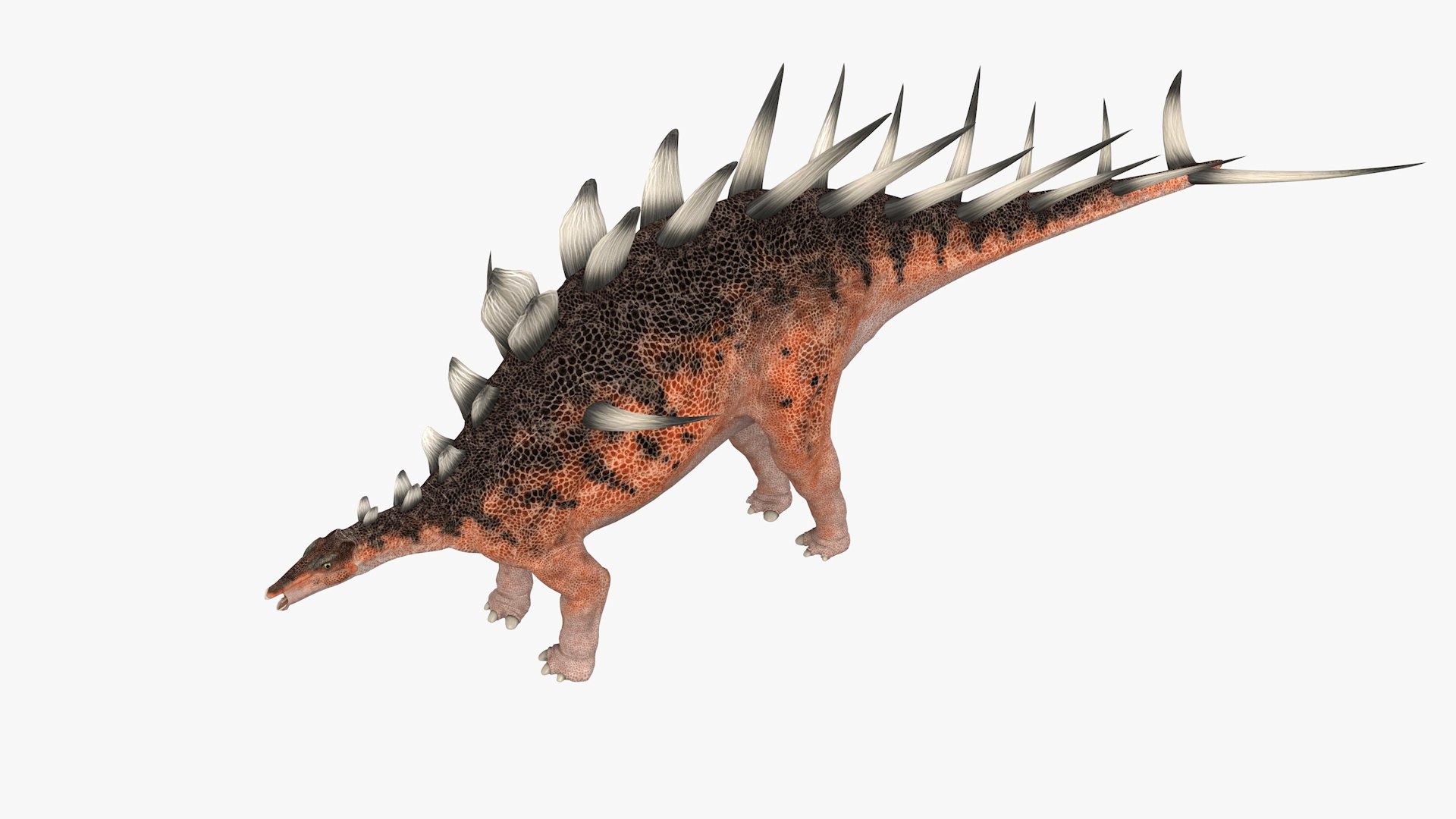 Kentrosaurus 3D Model - TurboSquid 1844323