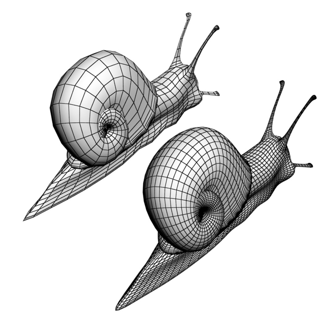 Snail Shell 3d Model