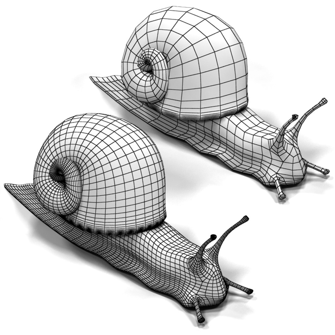 Snail Shell 3d Model