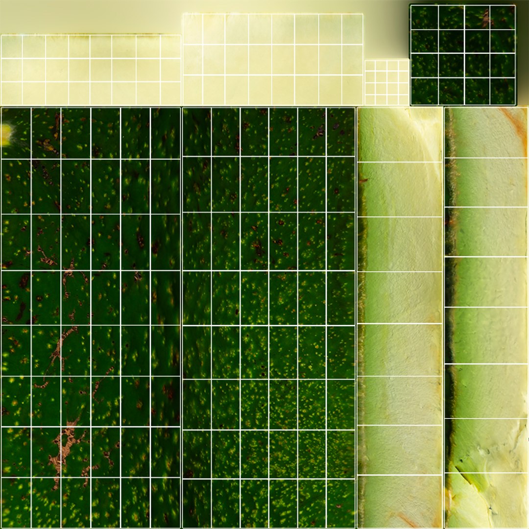 3D Avocado Hass 01 - TurboSquid 2074400