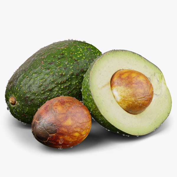 Avocado Blender Models for Download | TurboSquid