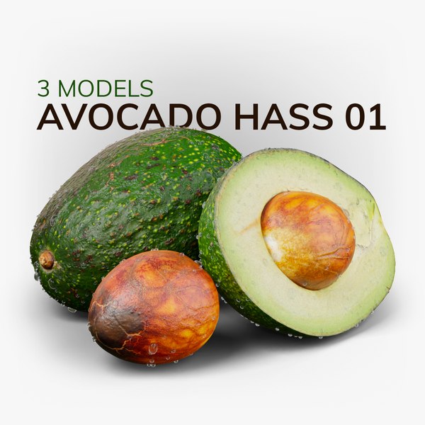 modelo 3d Avocado Hass 01 - TurboSquid 2074400