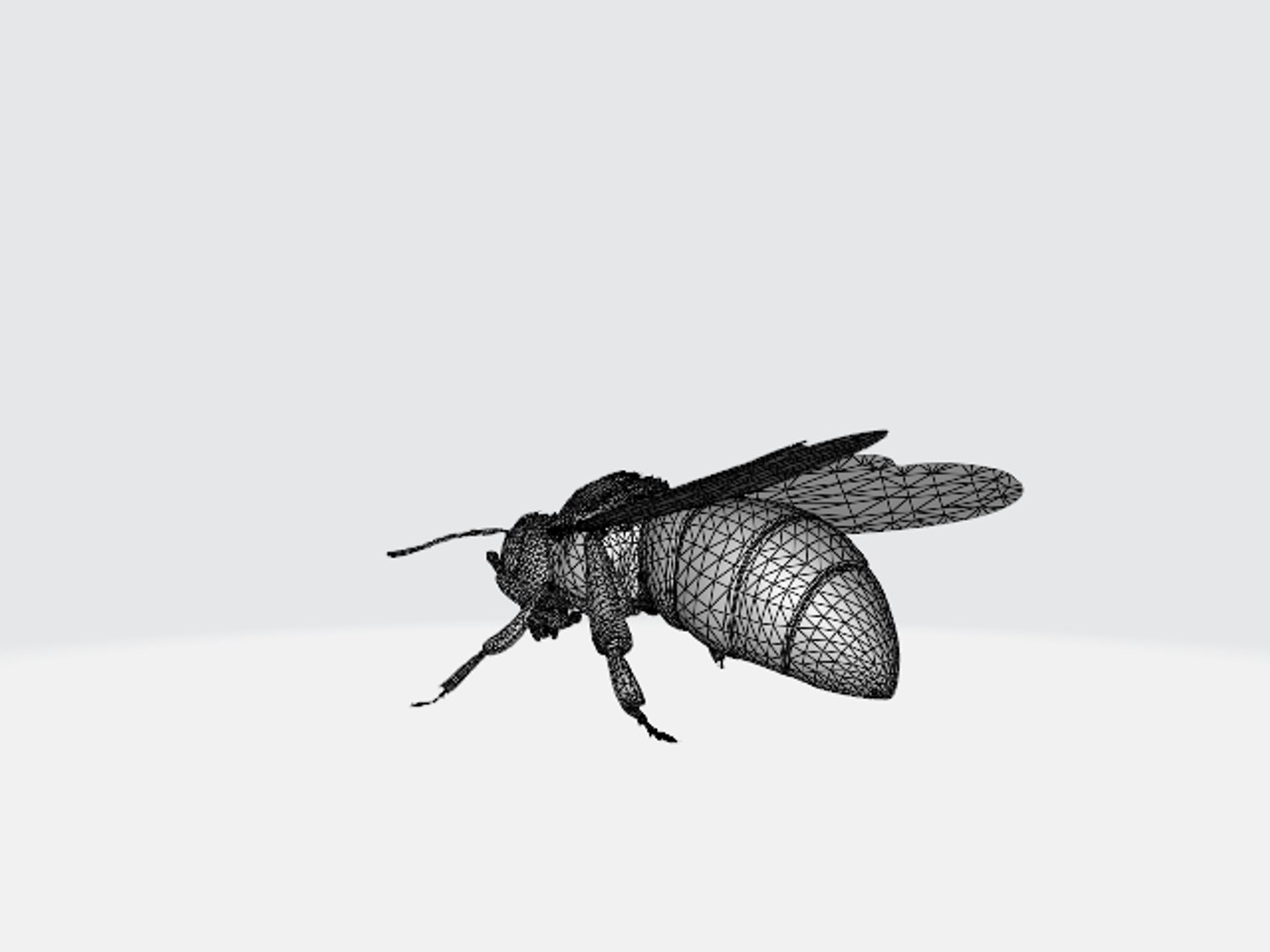 Bee 3D model - TurboSquid 1438776