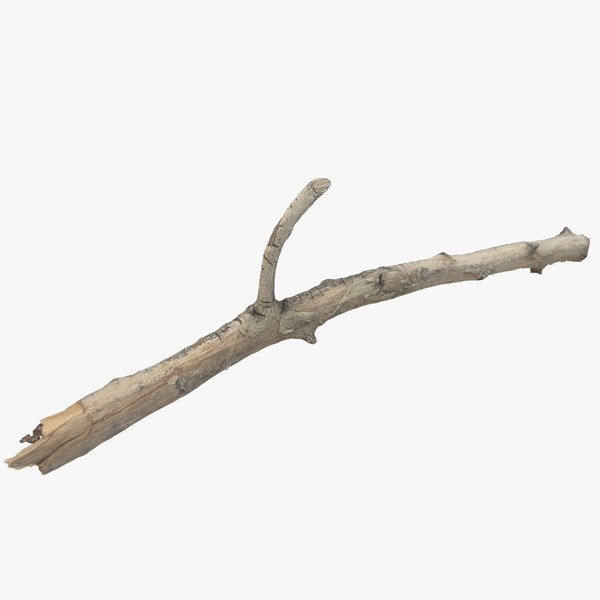 photorealistic stick 3d max