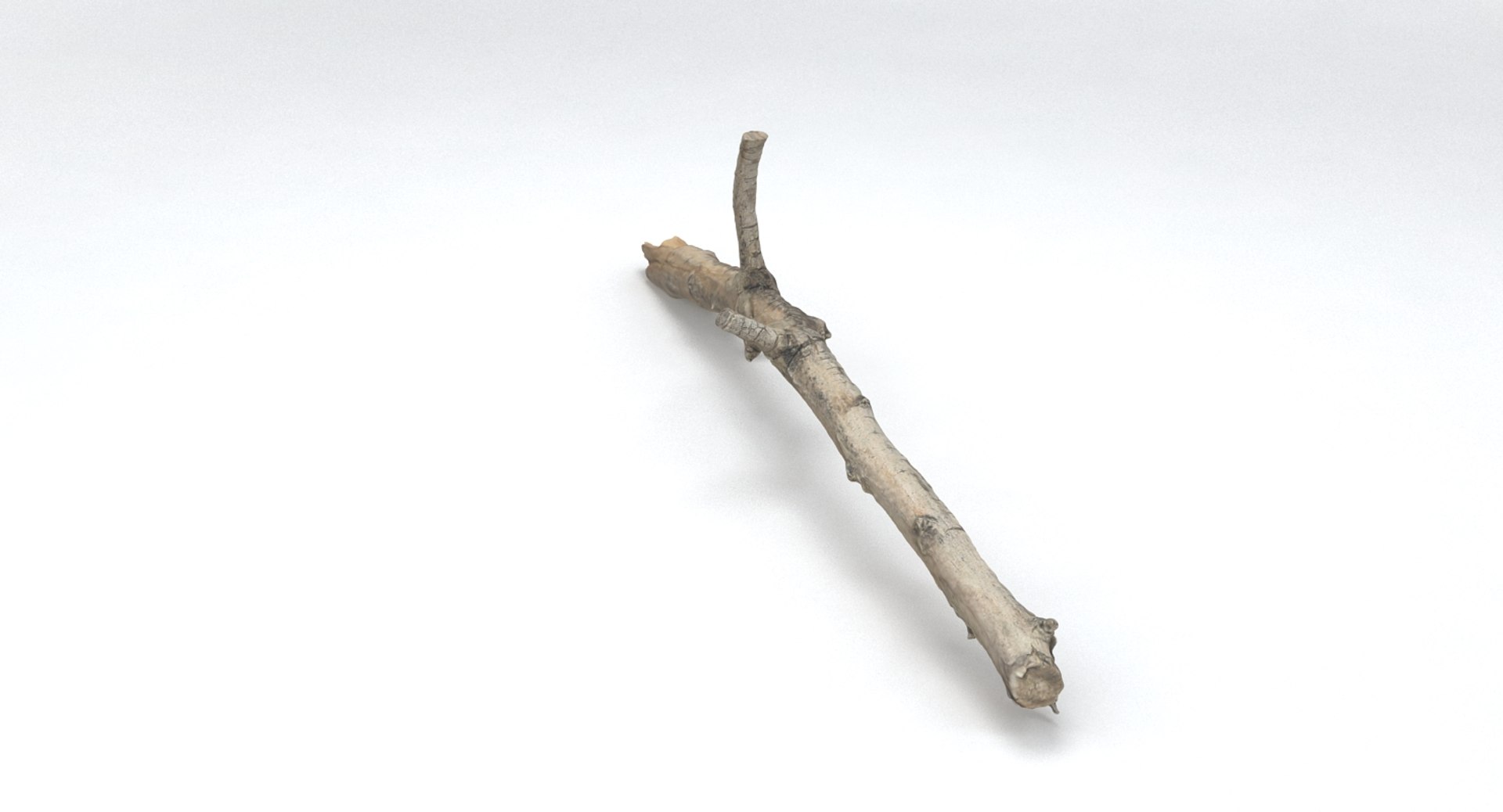 3D Model Photorealistic Stick - TurboSquid 1205473