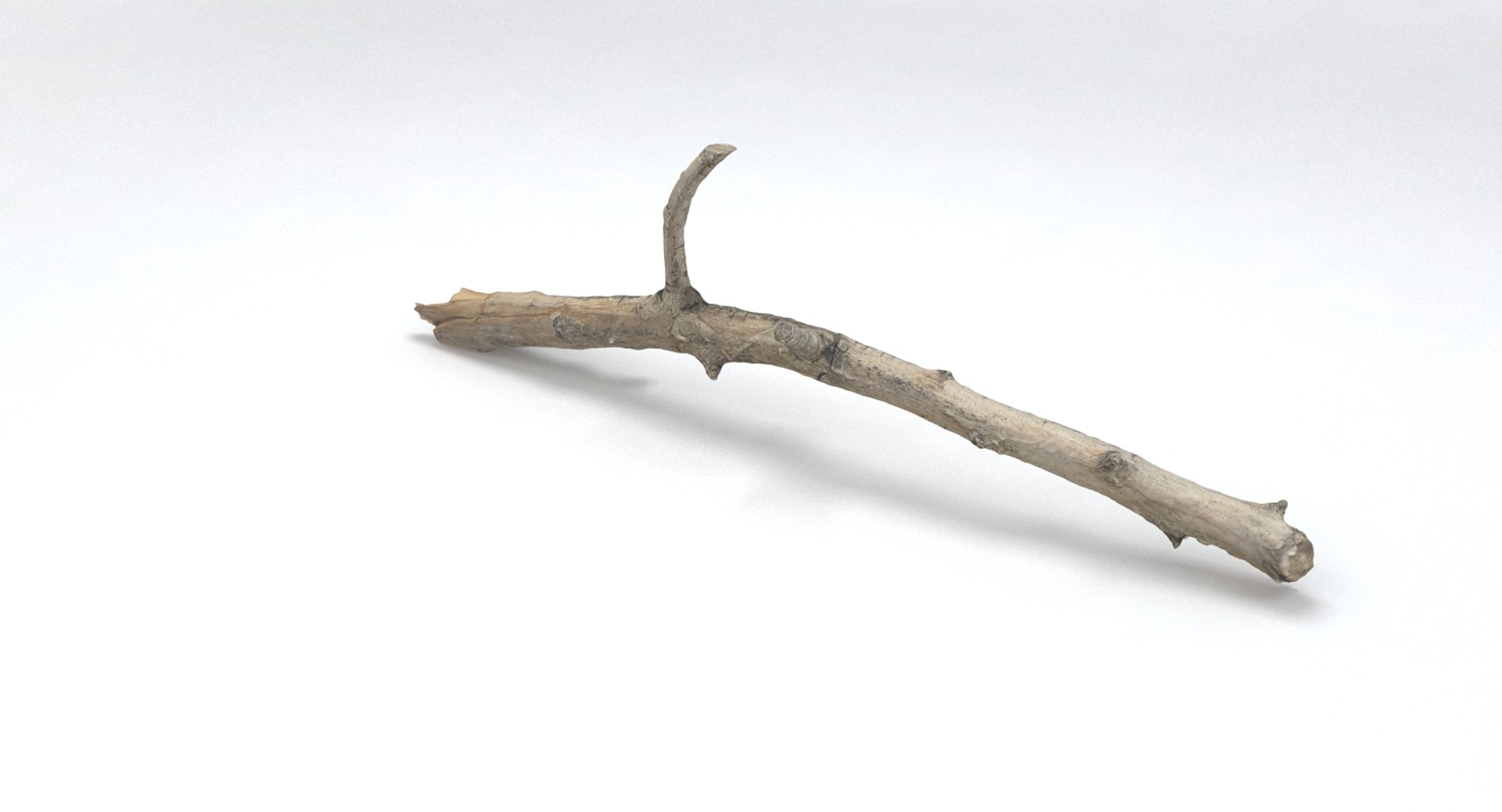 3D Model Photorealistic Stick - TurboSquid 1205473