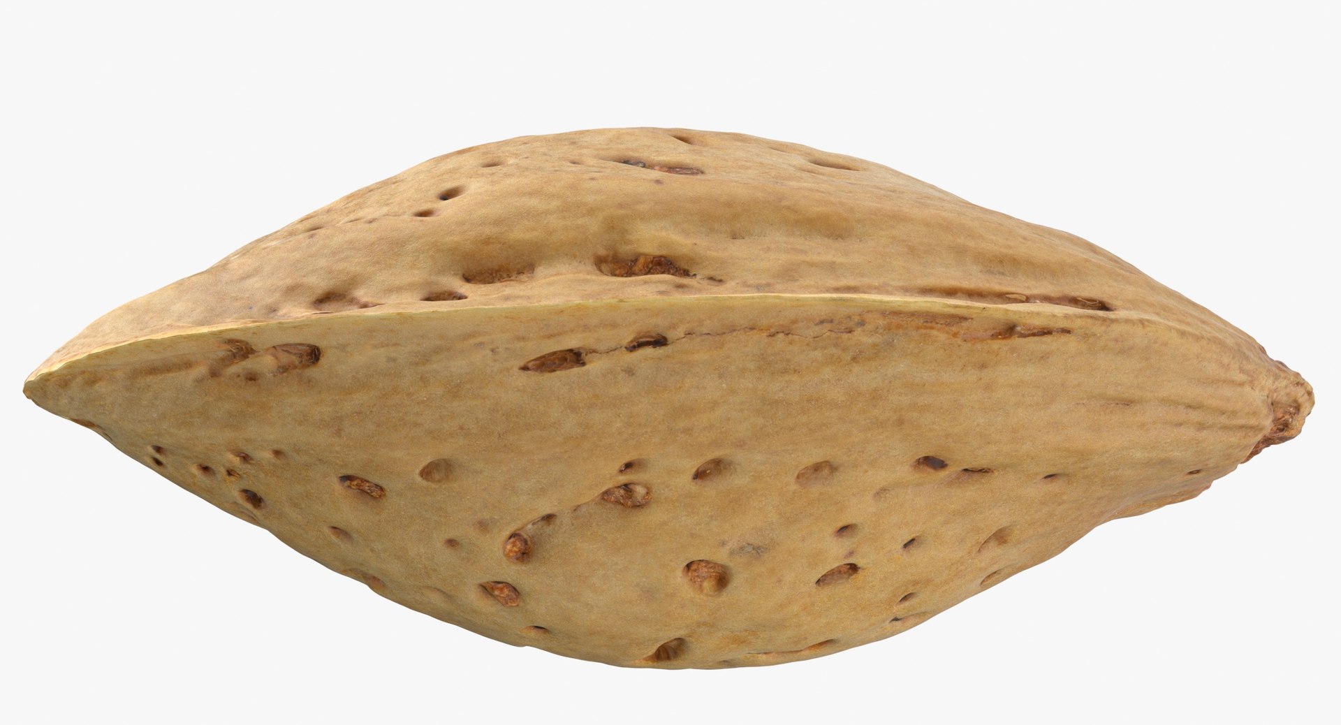 Almonds With Shell Collection 03 - 2 Models Model - TurboSquid 1885513