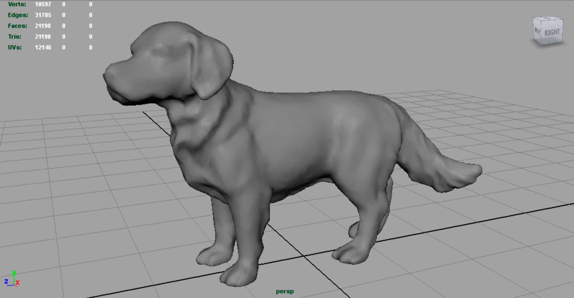 Labrador retriever 3D model - TurboSquid 1203049