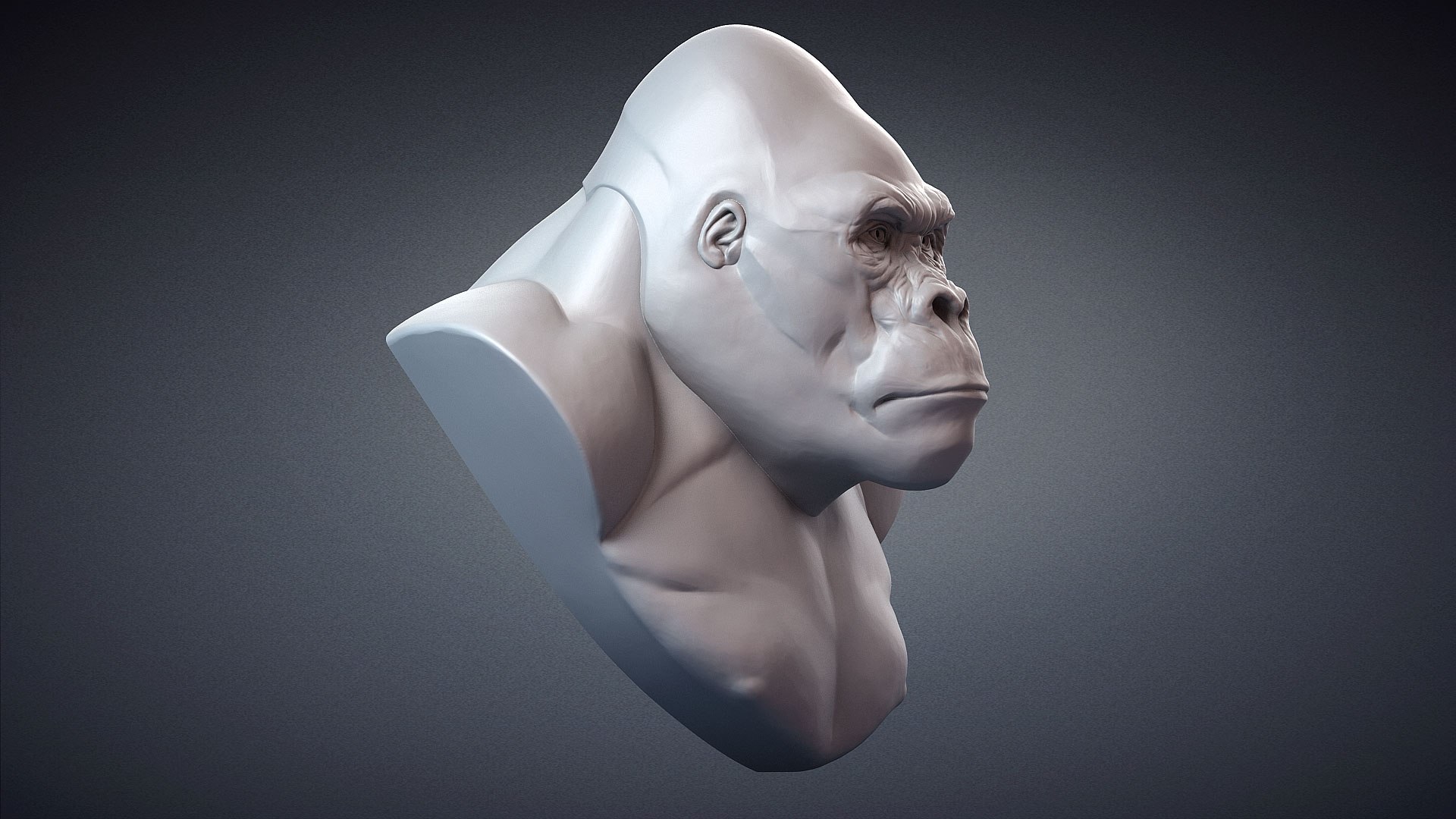 Gorilla Sculpture Bust Animal Head 3D Model - TurboSquid 1722636