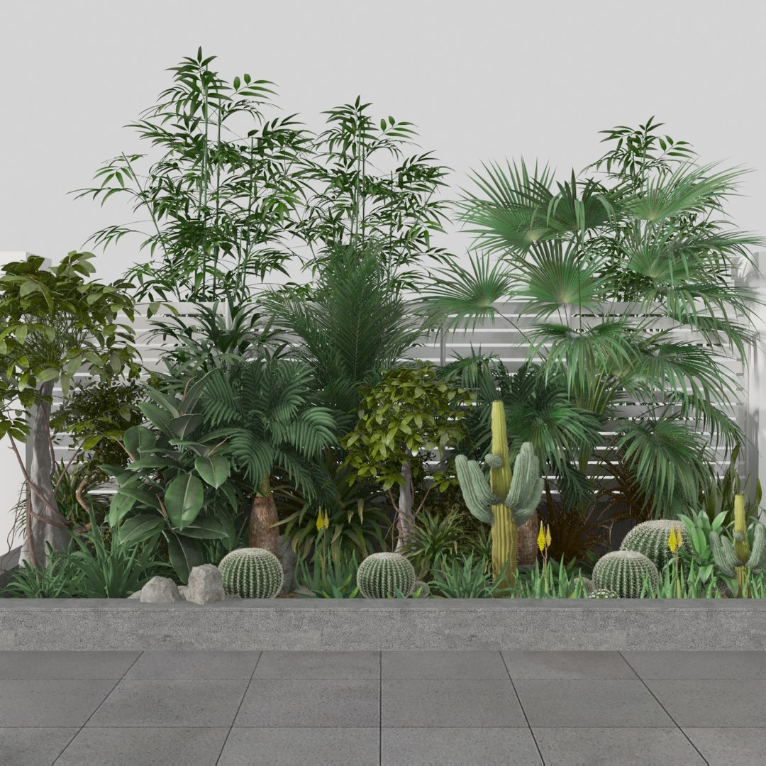 3D Tropical Plant Collection - TurboSquid 2019857