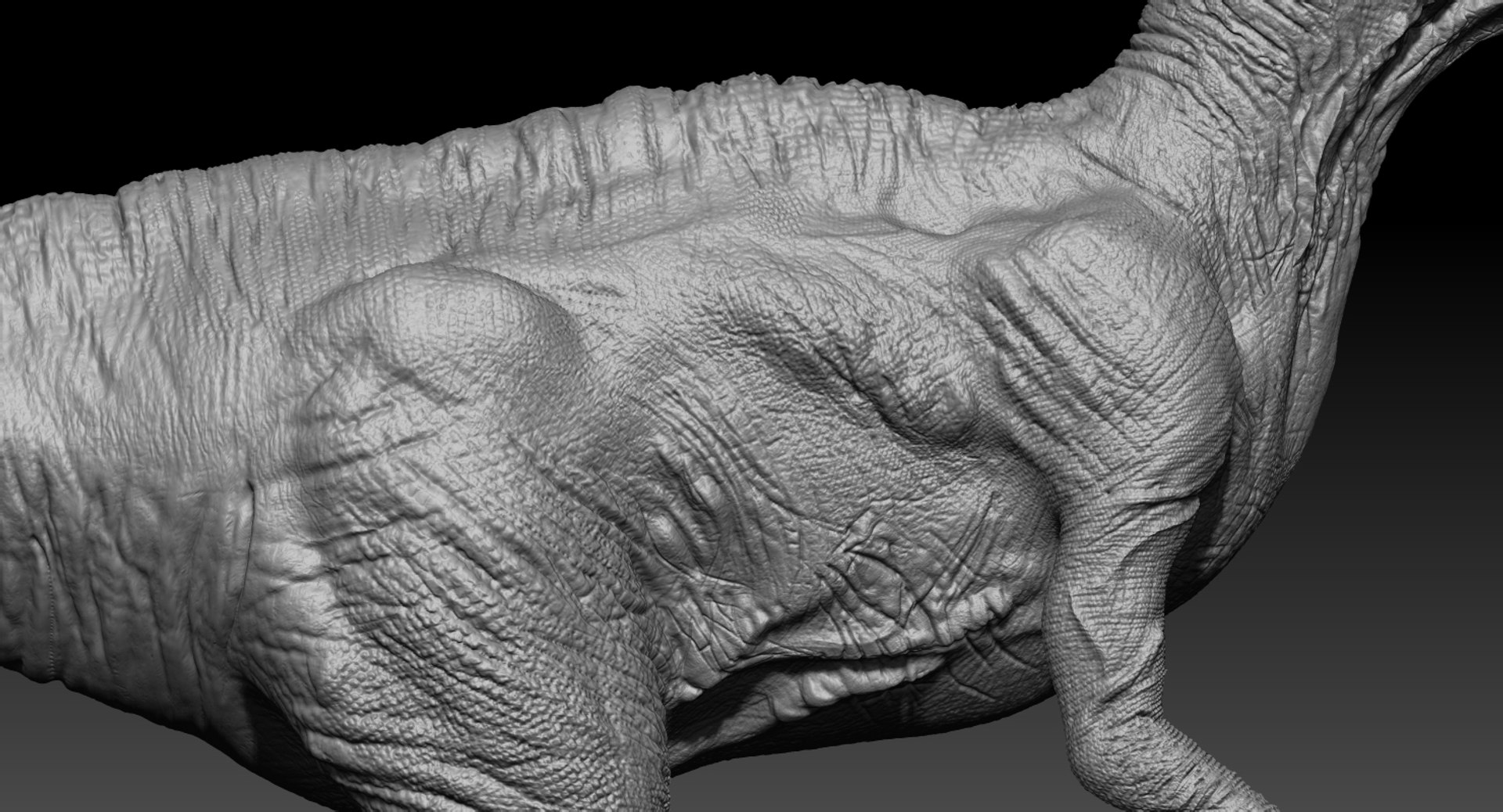 realistic raptor rigged 3d model