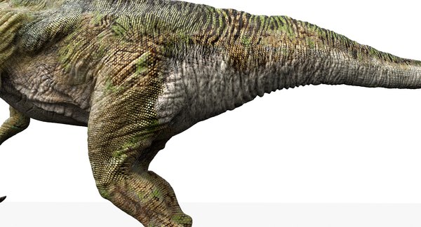 realistic raptor rigged 3d model