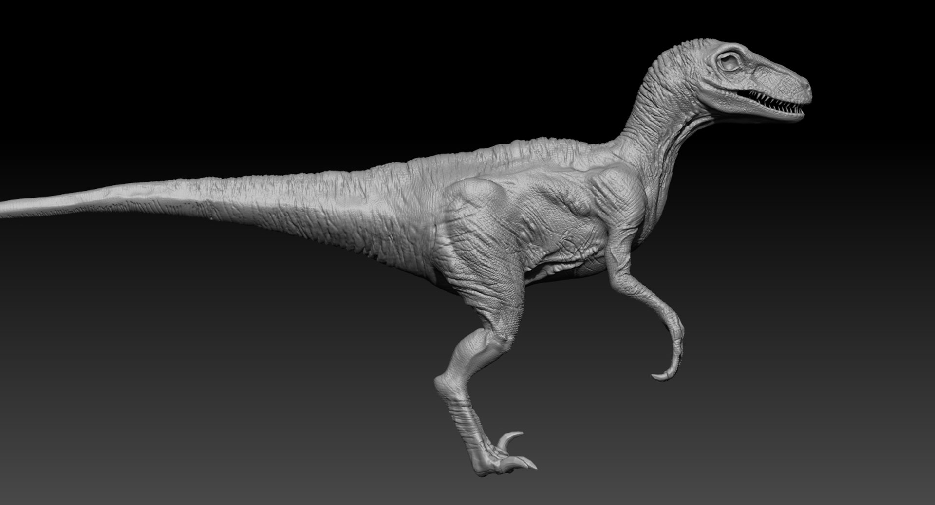 realistic raptor rigged 3d model