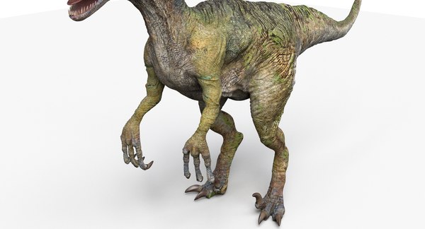 realistic raptor rigged 3d model