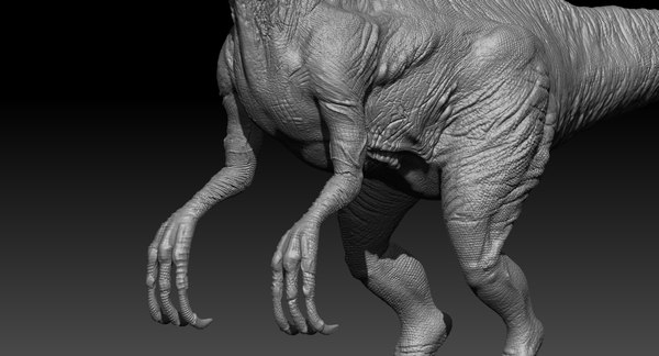 realistic raptor rigged 3d model