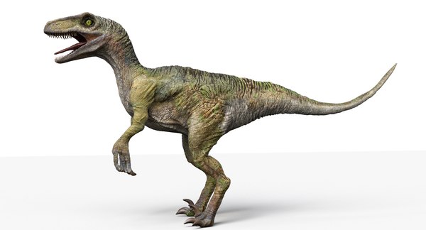 realistic raptor rigged 3d model