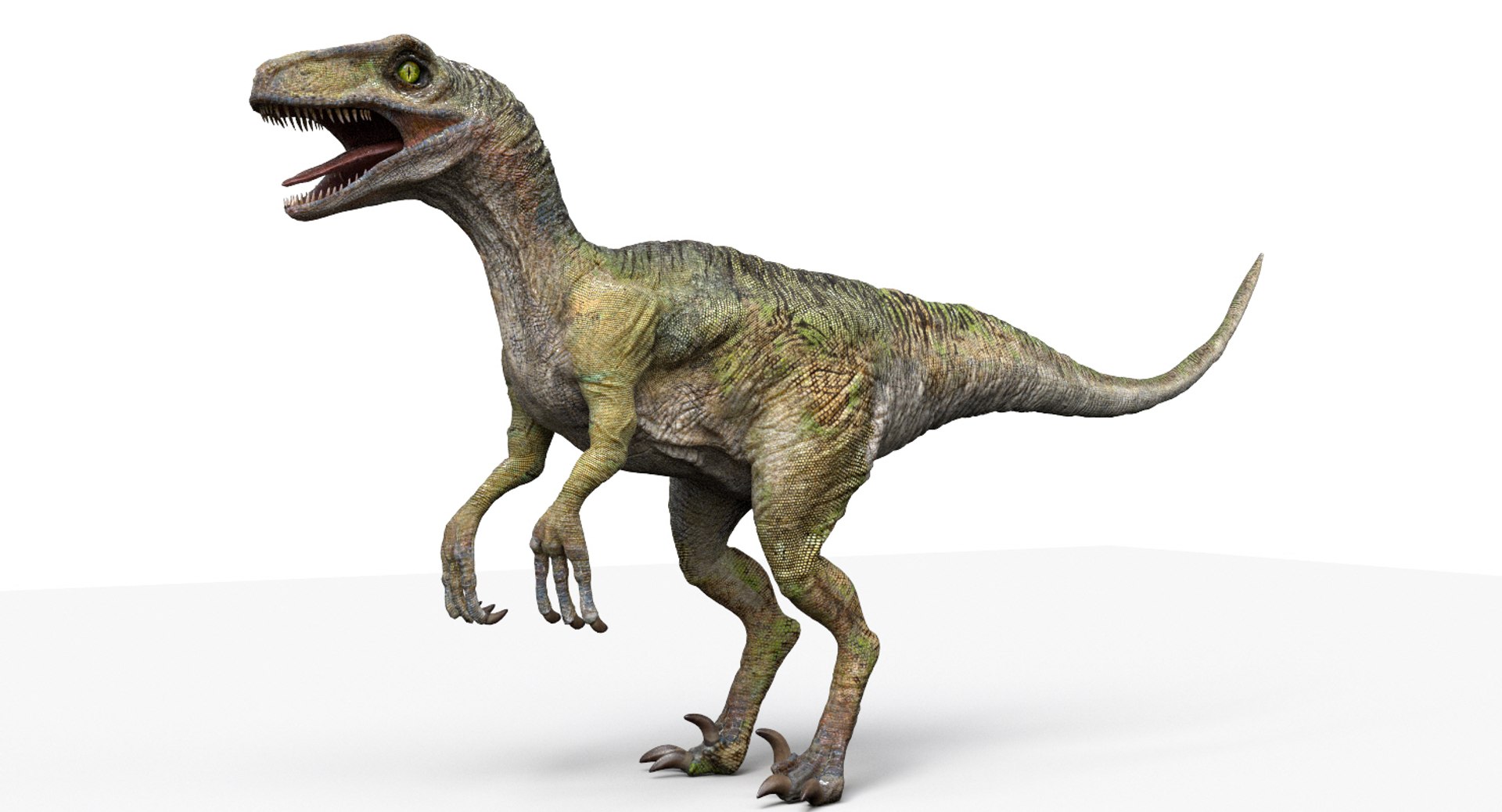 Realistic Raptor Rigged 3d Model