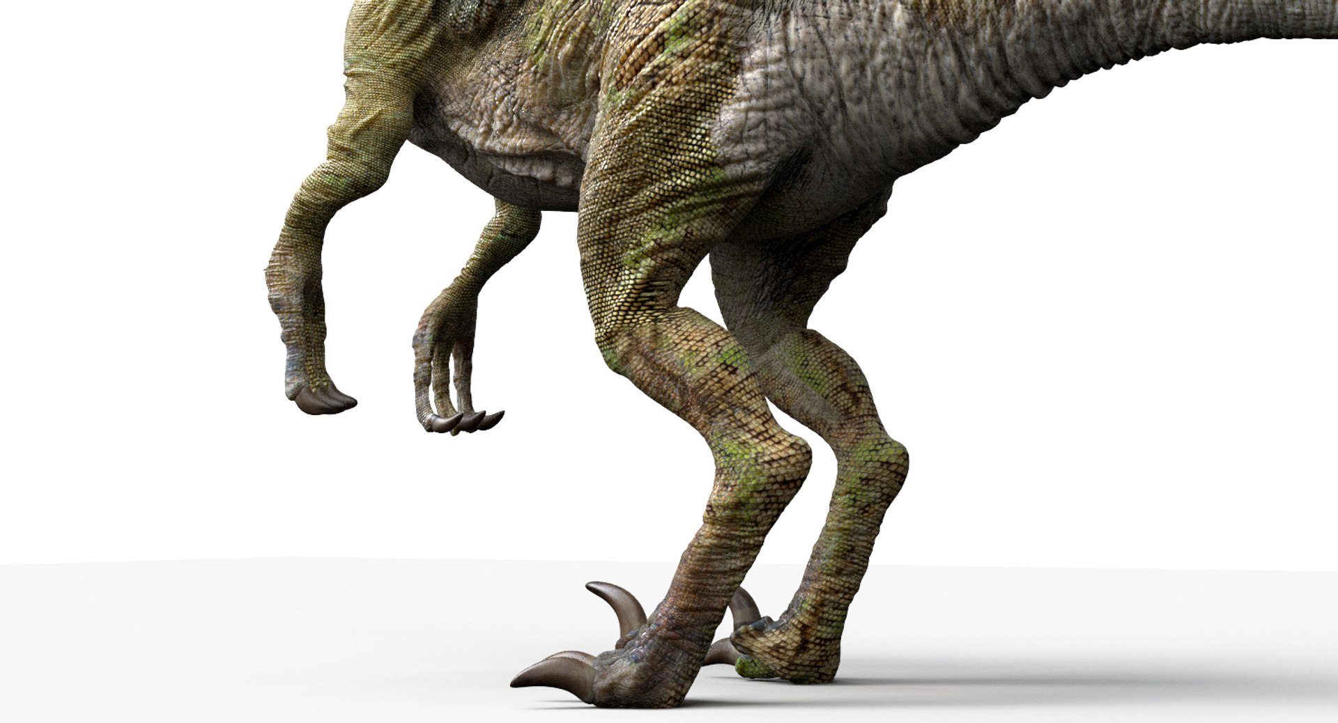 realistic raptor rigged 3d model