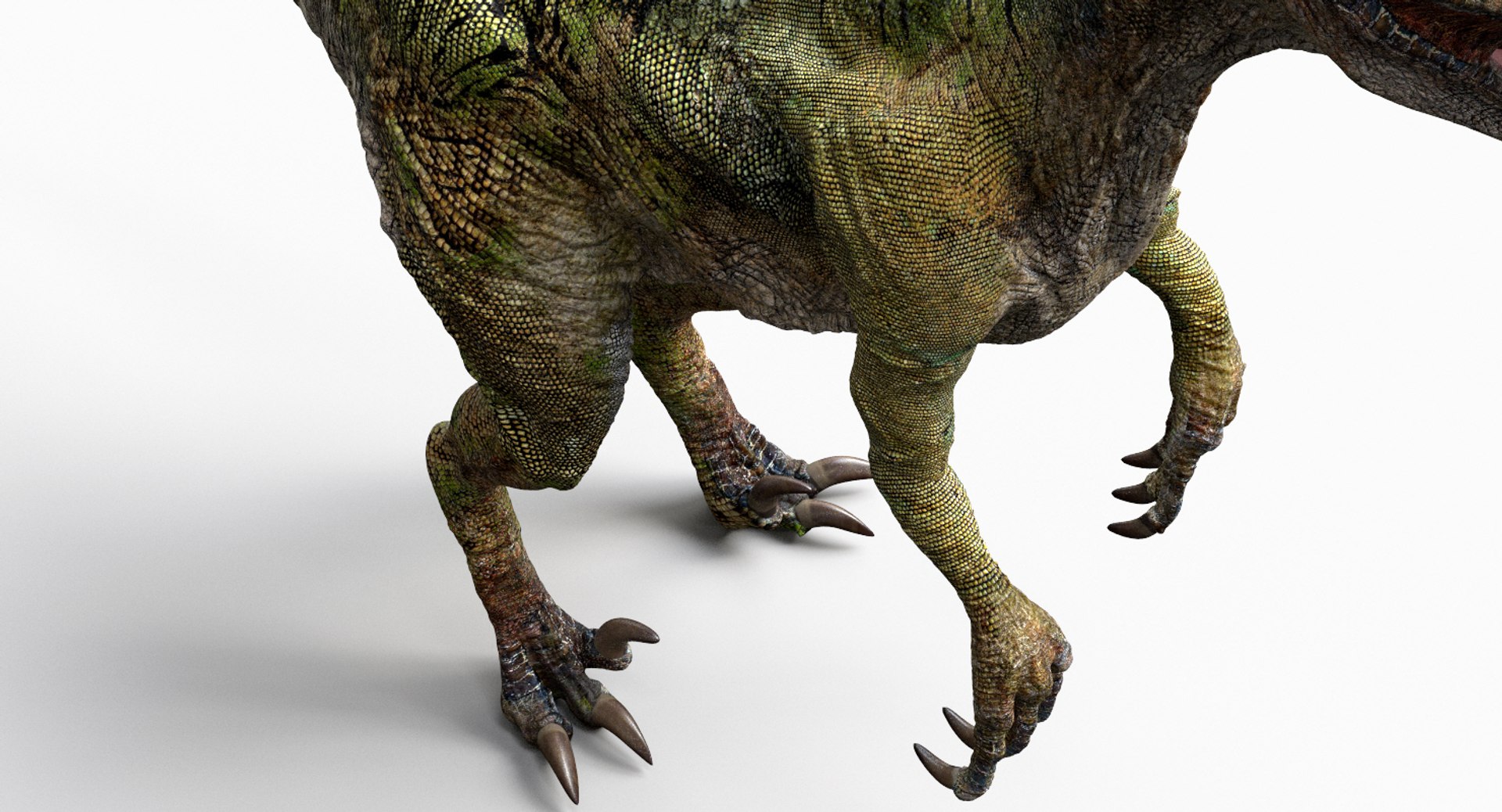 realistic raptor rigged 3d model