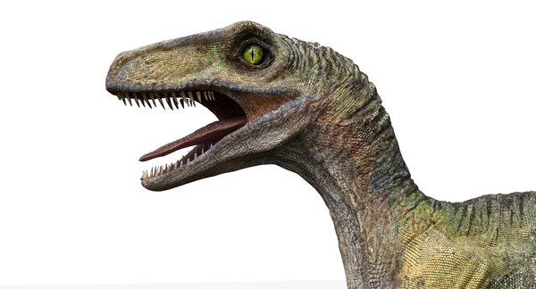 realistic raptor rigged 3d model