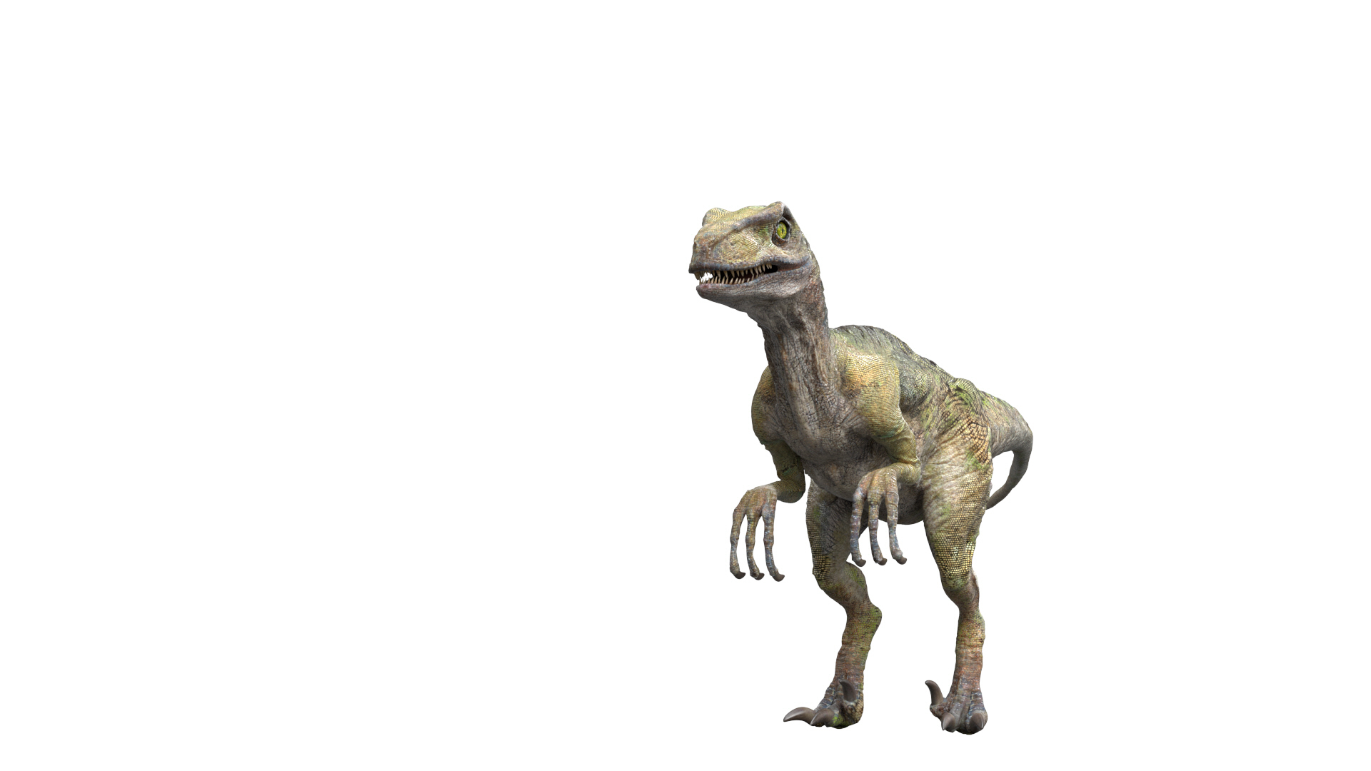 Realistic Raptor Rigged 3d Model