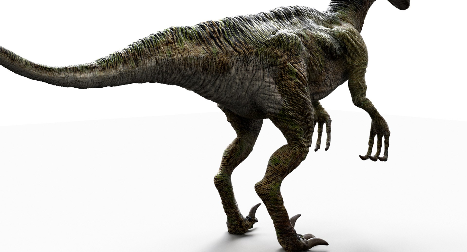 realistic raptor rigged 3d model