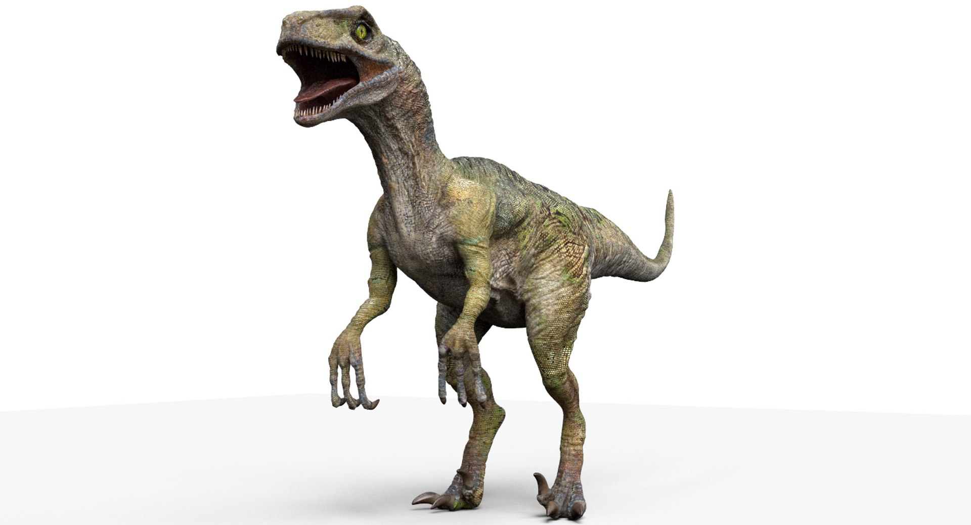 Realistic Raptor Rigged 3d Model