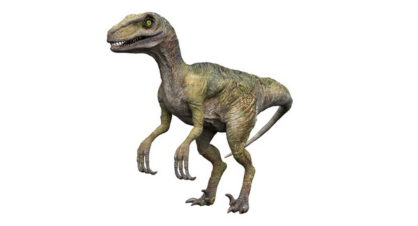realistic raptor rigged 3d model