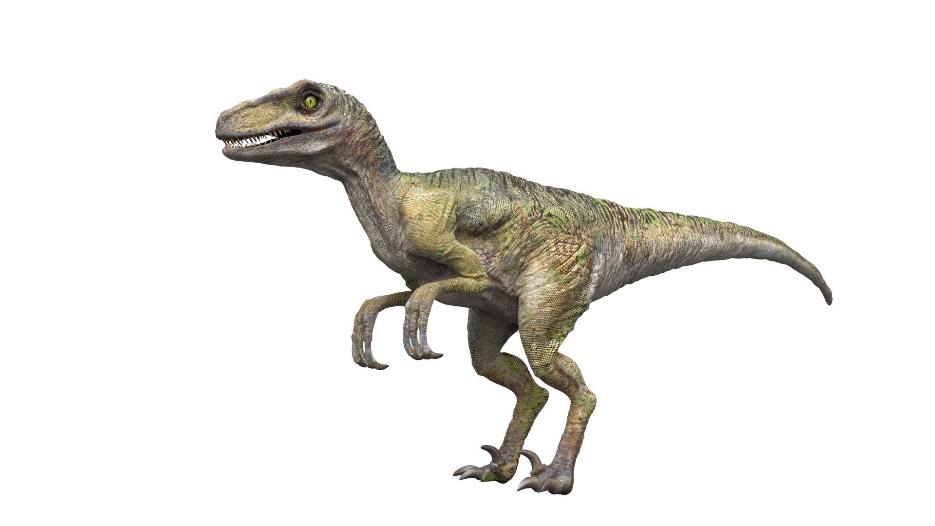 Realistic Velociraptor