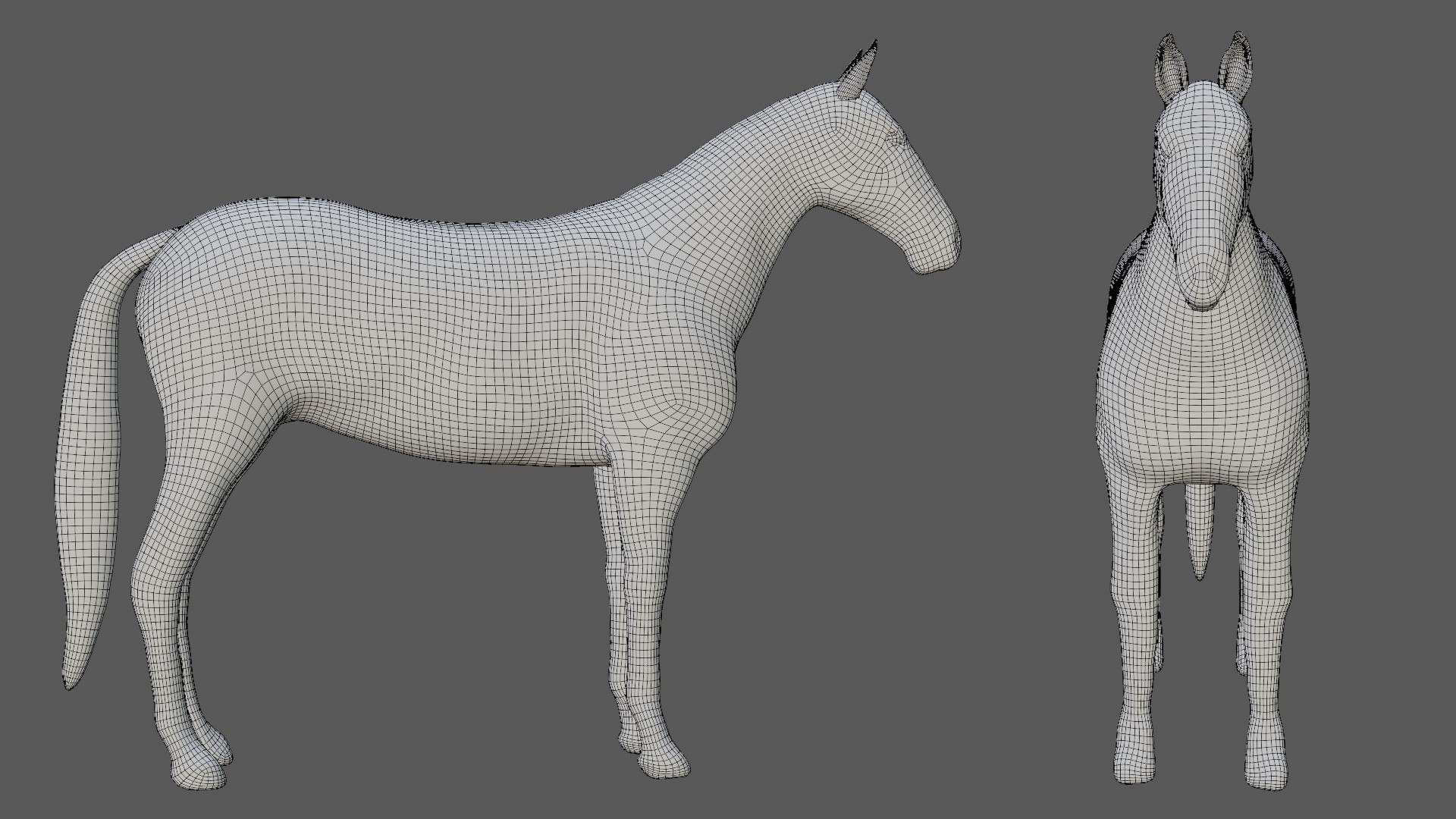 3D model White horse - TurboSquid 1775162