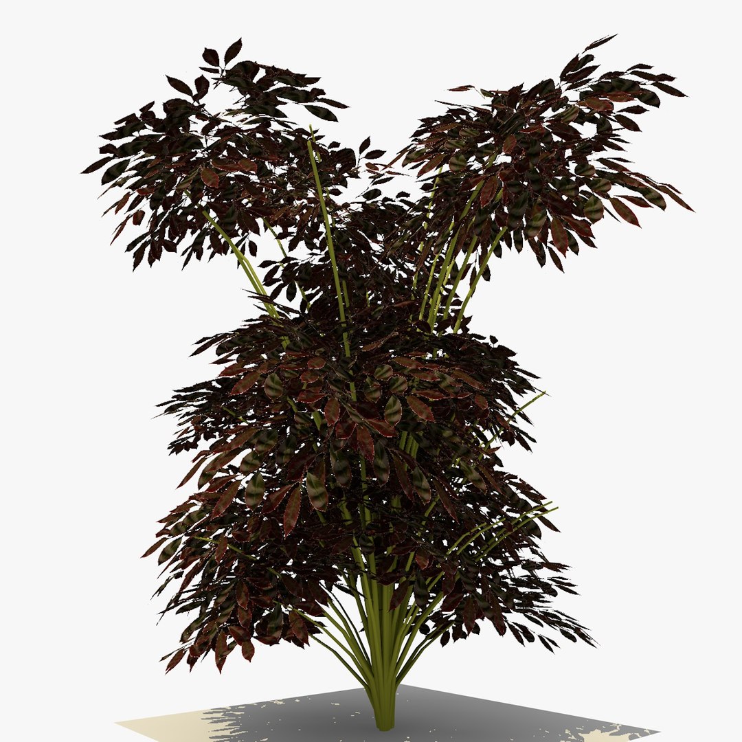 3ds max plant bush