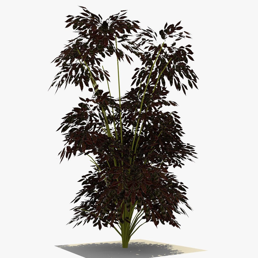 3ds max plant bush
