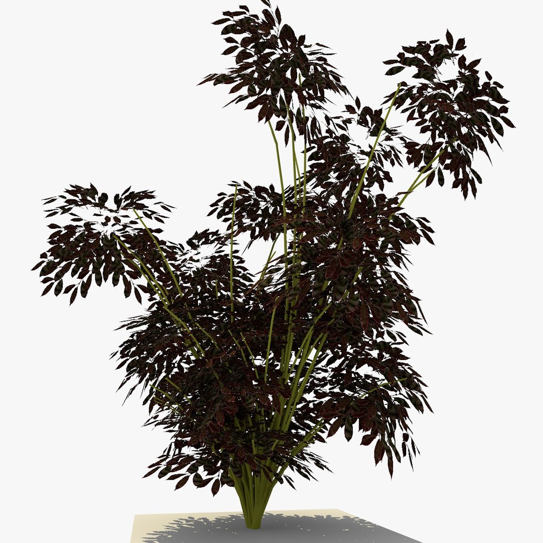 3ds max plant bush