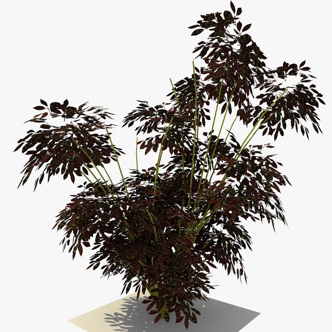 3ds max plant bush