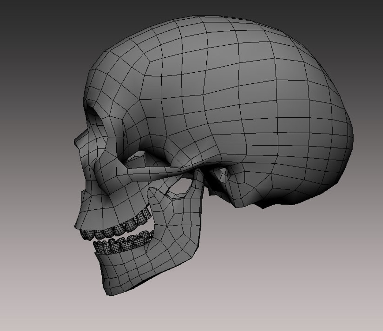 3d Model Human Head Skull
