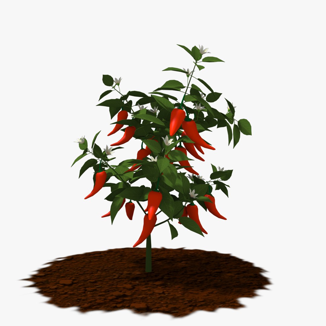 3D Model Cartoon Plants | 1143755 | TurboSquid