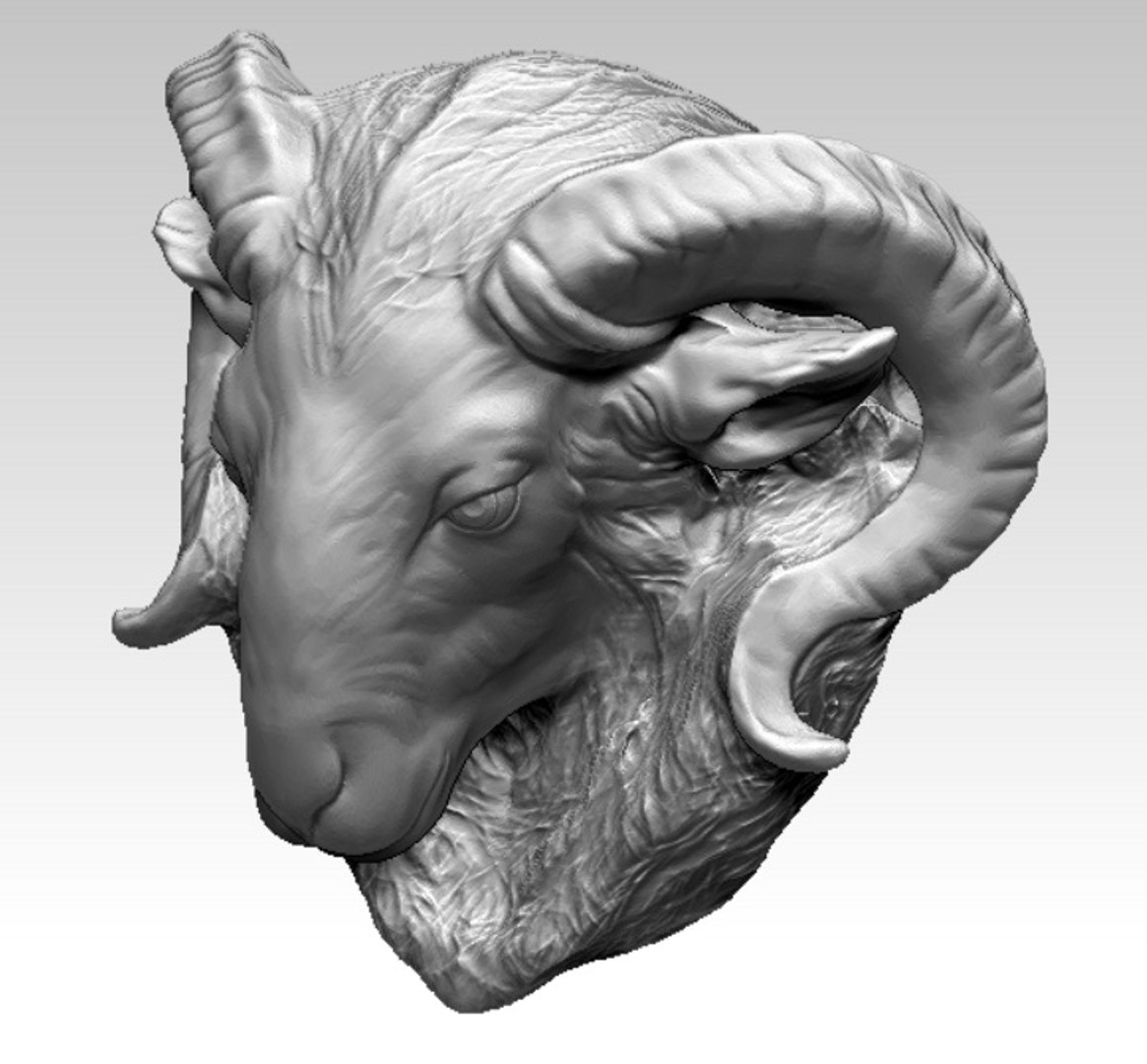 3D ram head model - TurboSquid 1217675