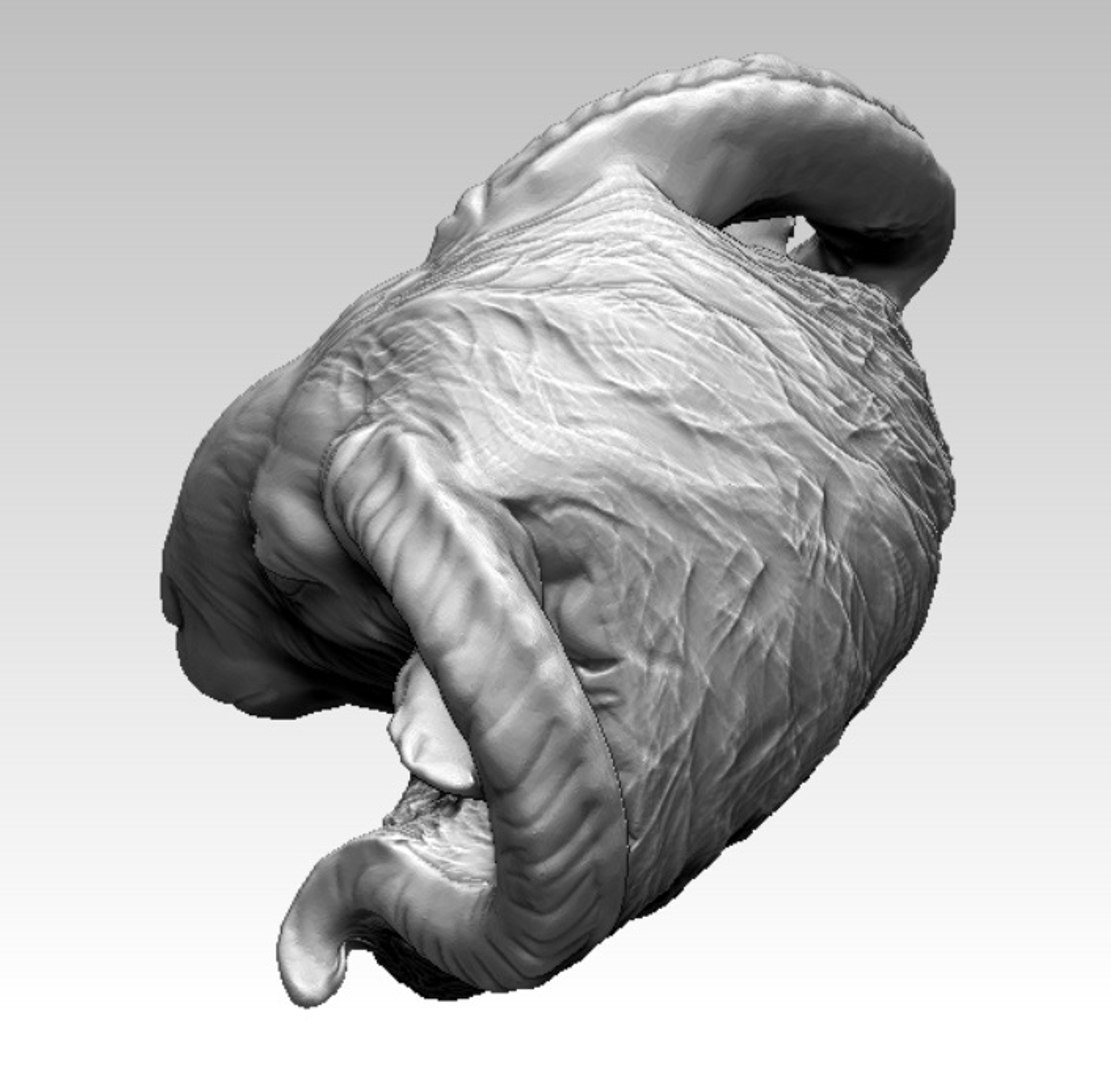 3D ram head model - TurboSquid 1217675