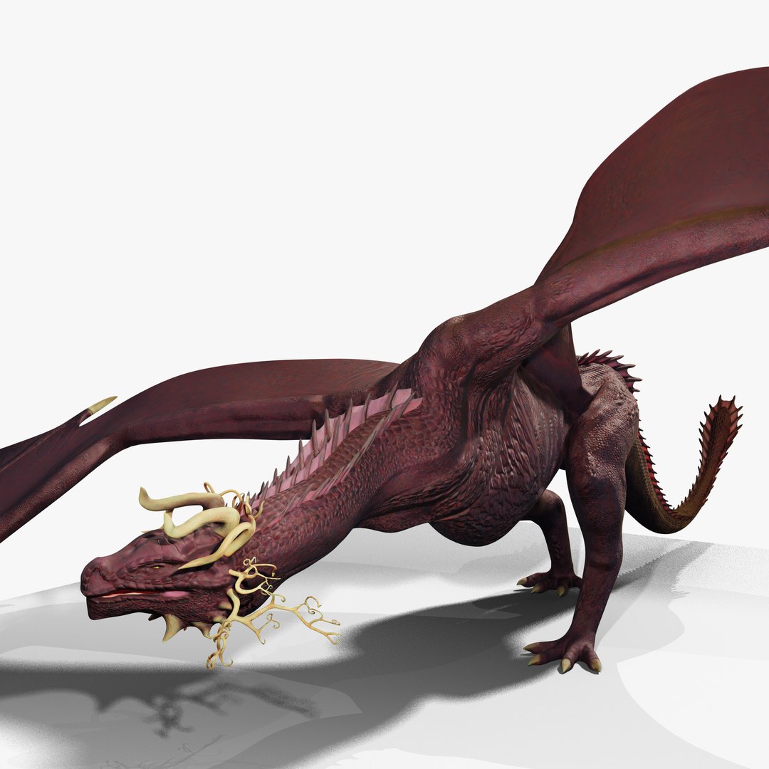 Domini - The Ancient Dragon 3D model - TurboSquid 1809859
