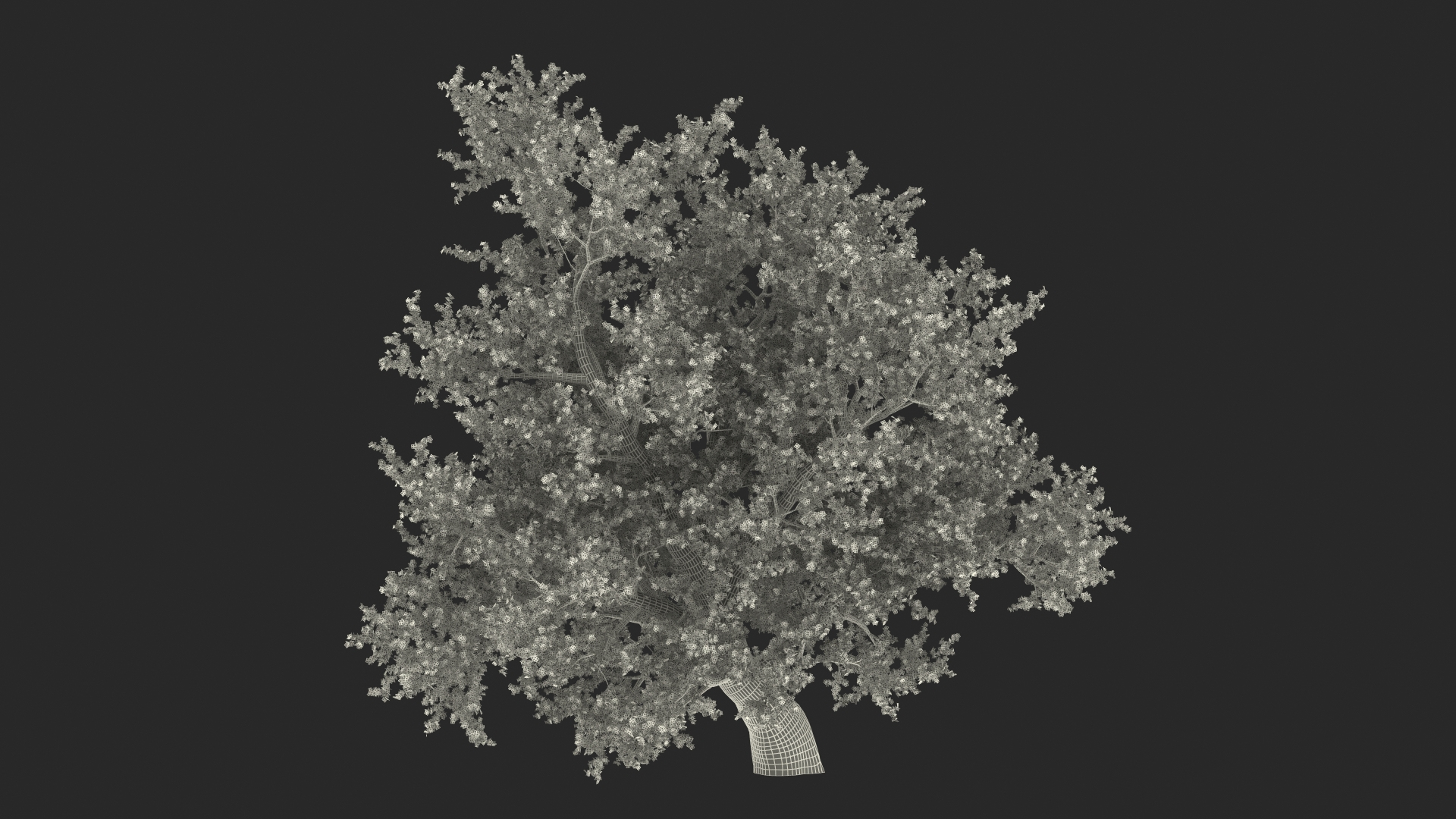 Realistic Autumn Red Maple Tree 3D Model - TurboSquid 2243150