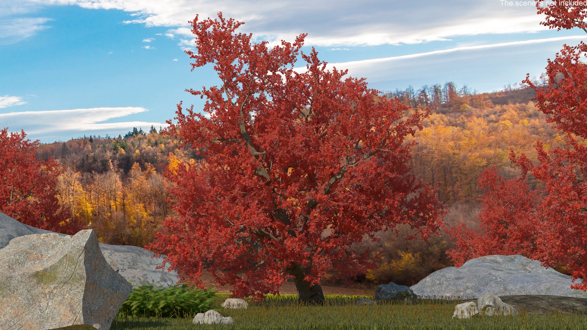 Realistic Autumn Red Maple Tree 3D Model - TurboSquid 2243150