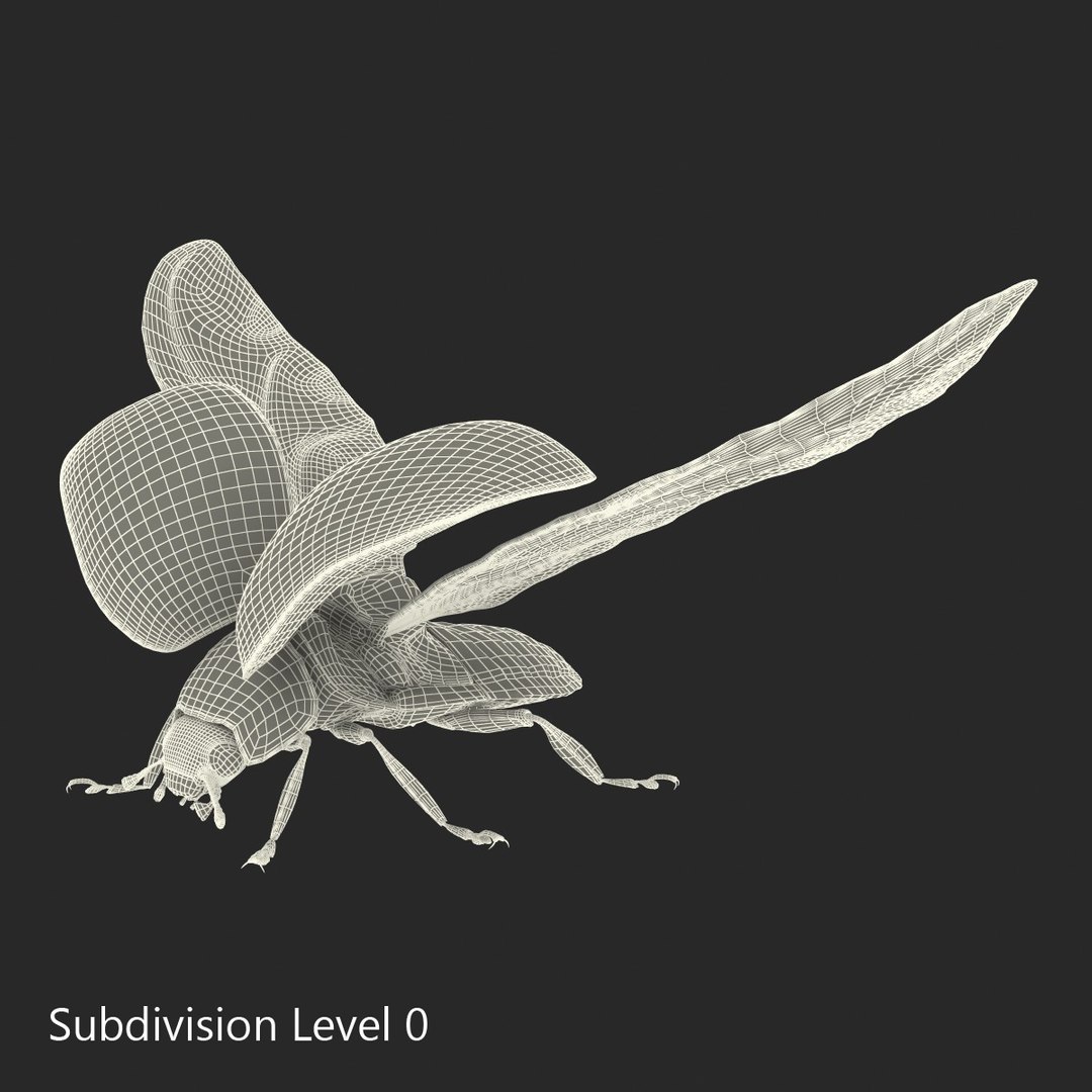 3d max ladybug set flying