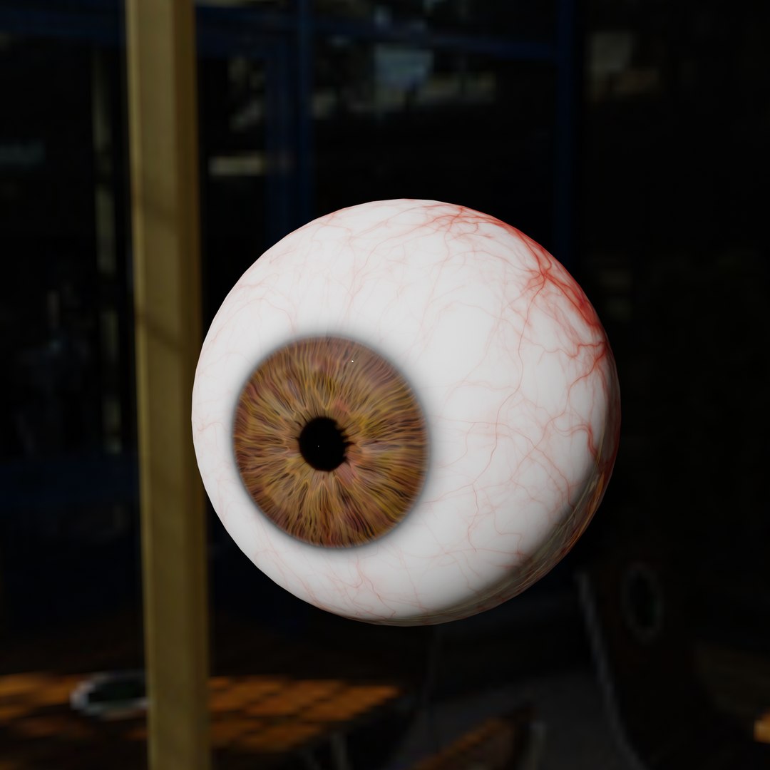 3D Human Eye Model - TurboSquid 1610359