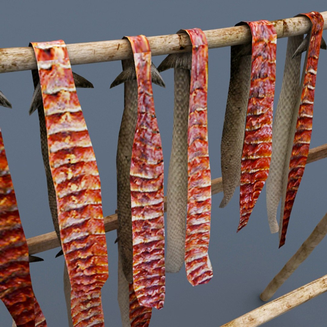 Fish Drier 3d Model