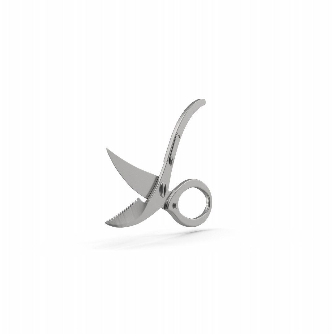 3D Model Kitchen Scissor - TurboSquid 2002129