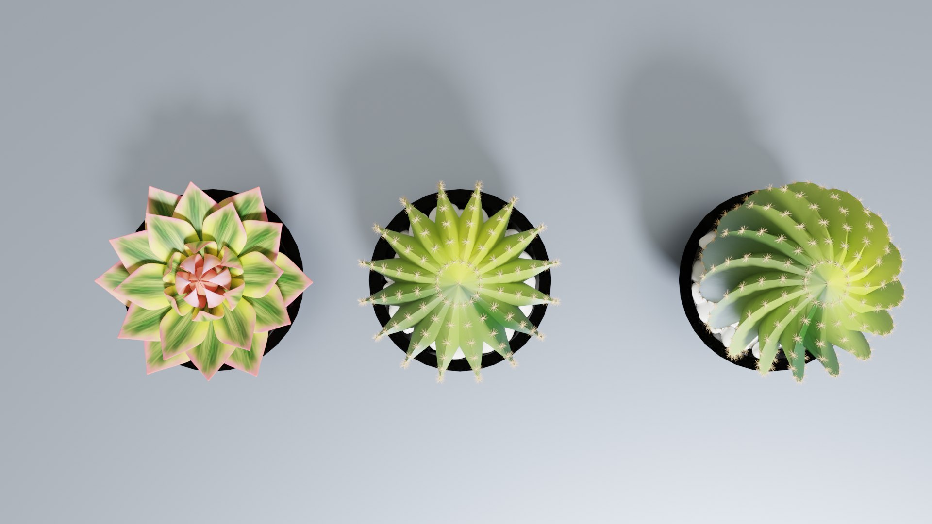 Succulent Pot 3D Model - TurboSquid 1413755
