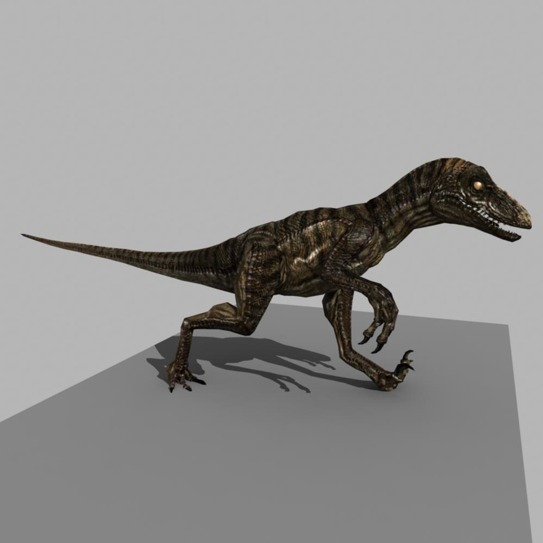 3d Rigged Velociraptor Animation