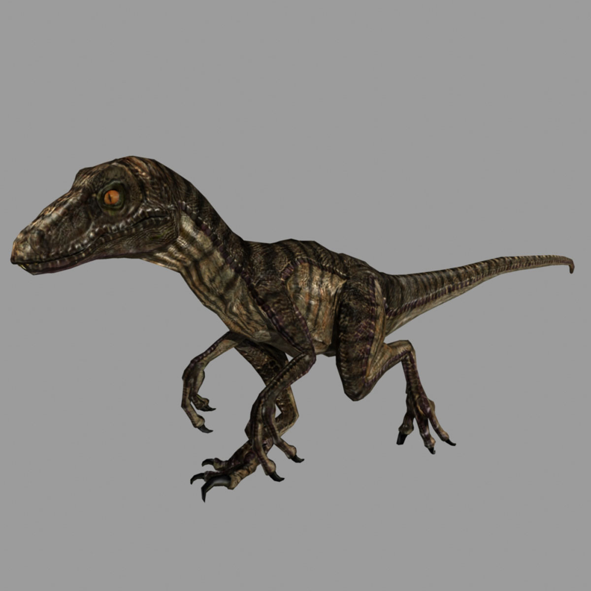 3d rigged velociraptor animation