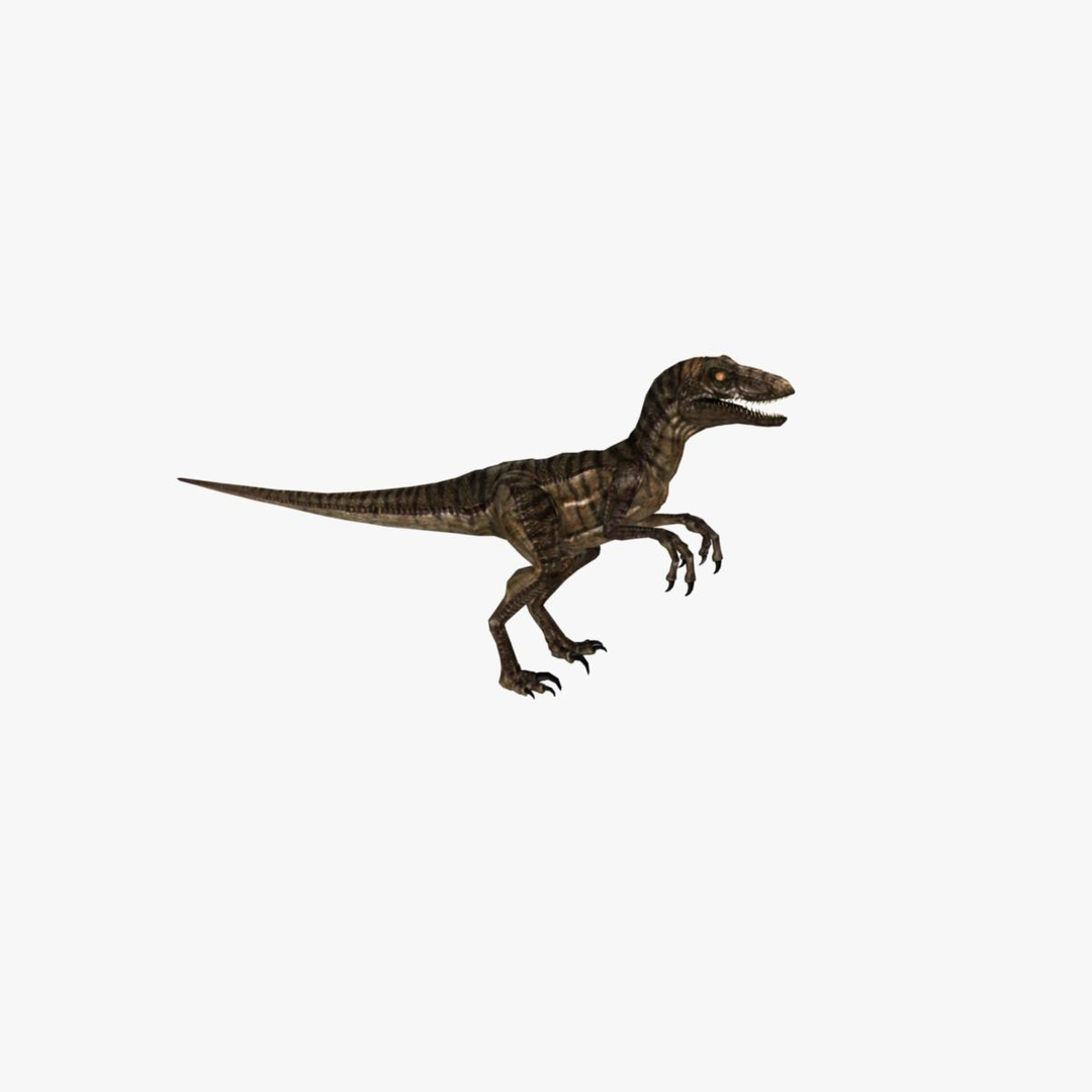 3d Rigged Velociraptor Animation